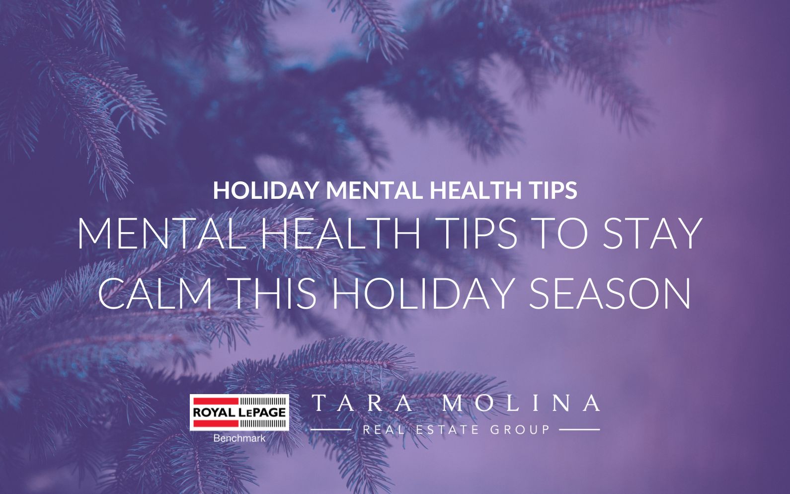 Holiday Mental Health Tips - Tara Molina Real Estate