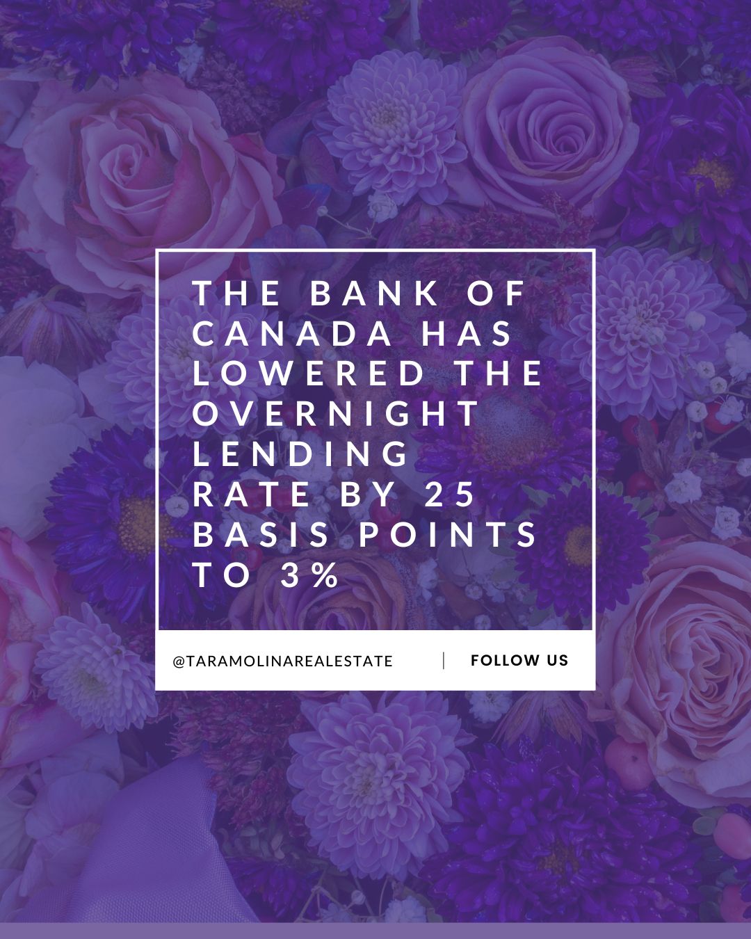 Bank of Canada Lowers Overnight Lending Rate: Jan 2025 - Tara Molina ...